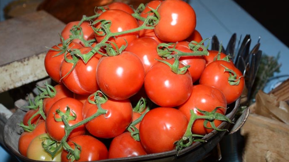 பர்ஸ் ஓட்டை.. பெட்ரோல் விடவும் தக்காளி விலை உயர்வு.. ஒரு கிலோ 160! எங்க ...